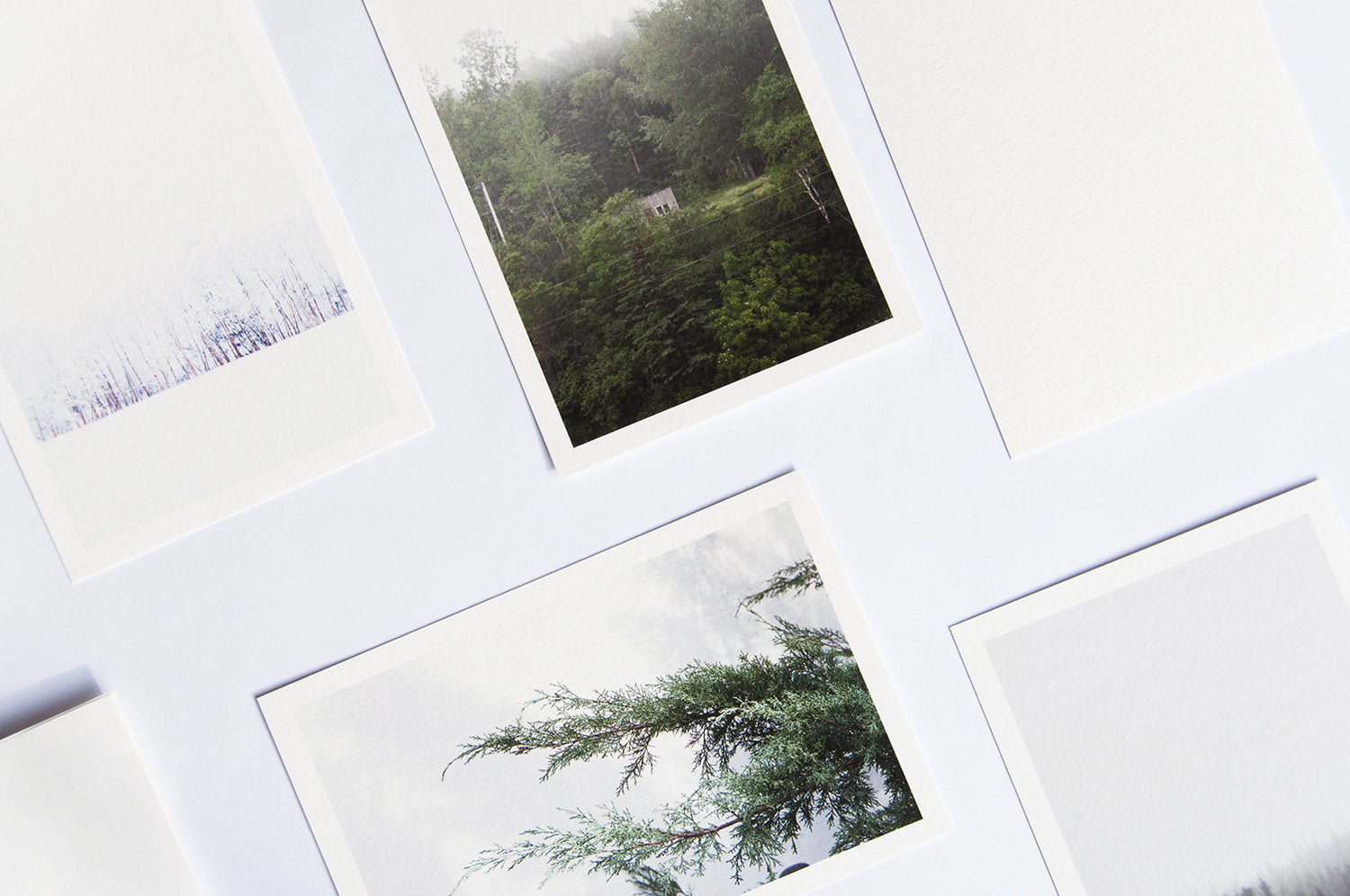 NEW POSTCARD SERIES [WINTER] – L E U T